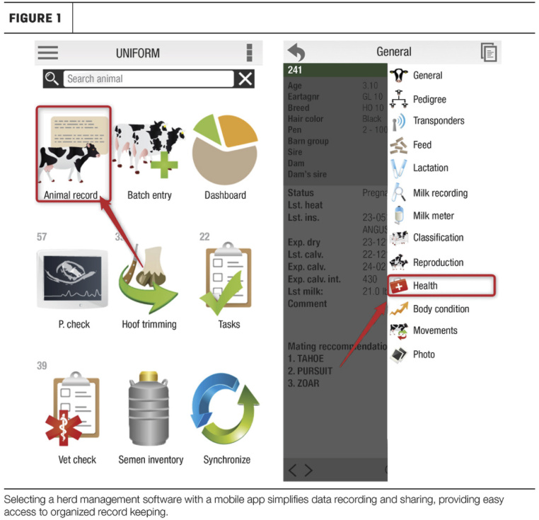 Advantages of herd management software - UNIFORM-Agri
