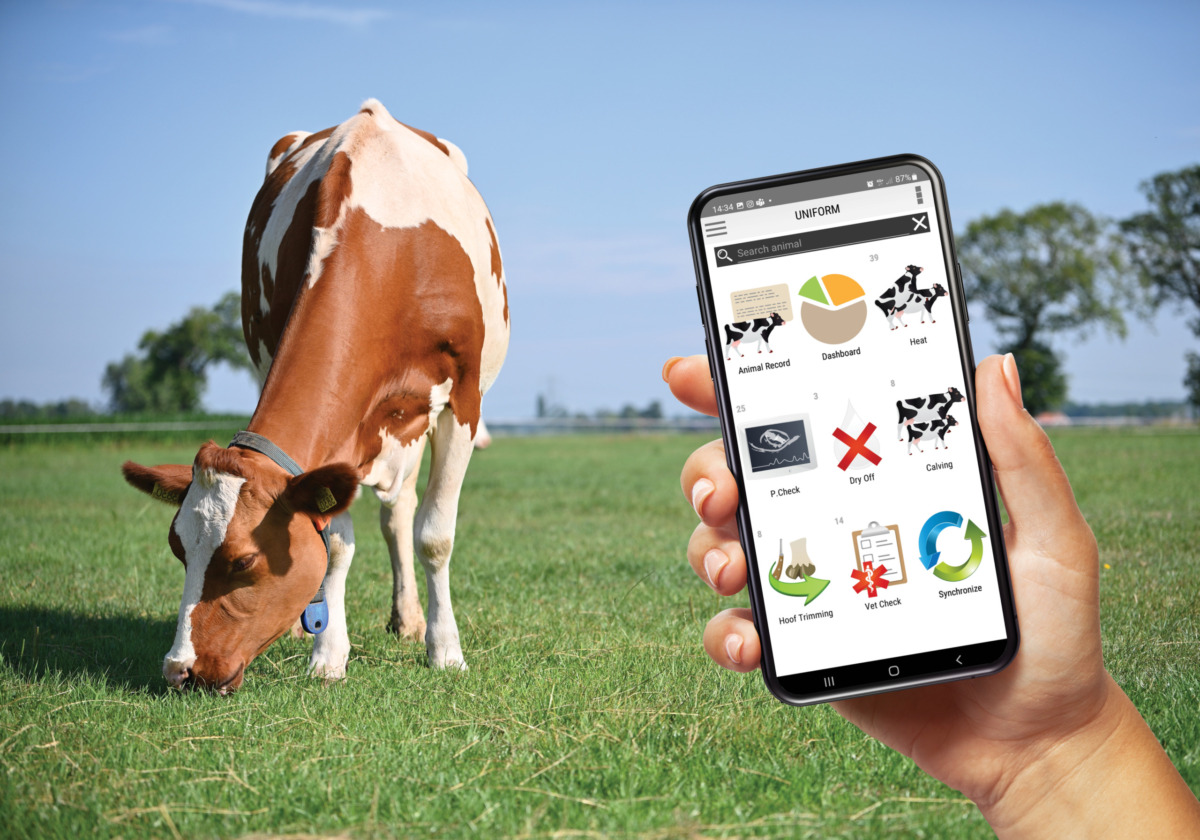 Data on the dairy farm - UNIFORM-Agri